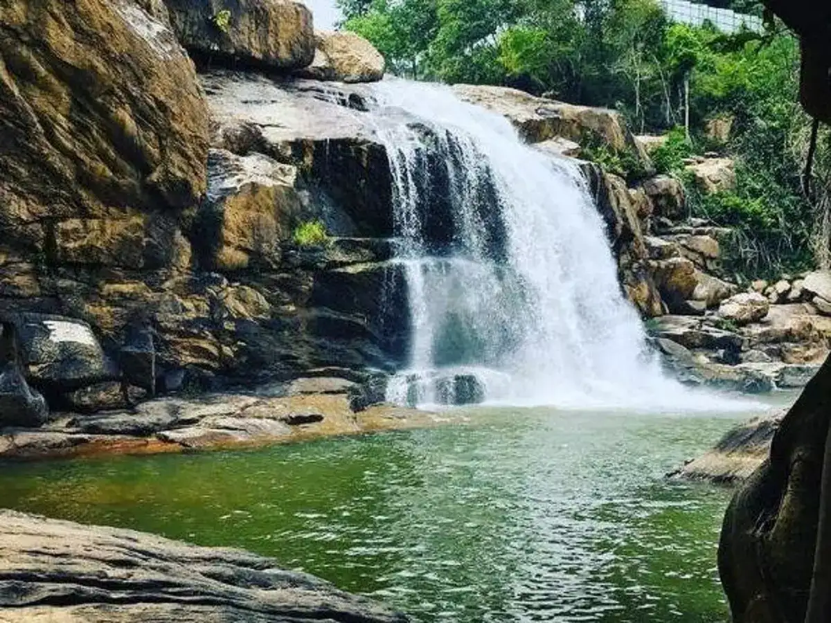 Anguthi Waterfalls In Krishnagiri,வற்றாத அங்குத்தி சுனை அருவி... ரூ.30 ...