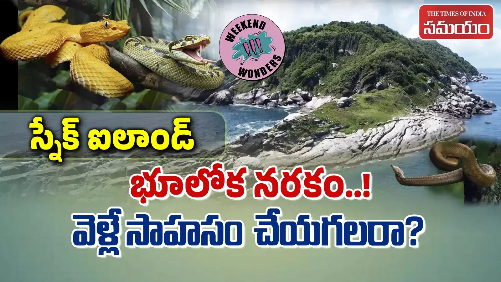 Hell On Earth Snake Island,భూలోక నరకం, అడుగడుగునా గండం.. స్నేక్ ఐలాండ్ ...