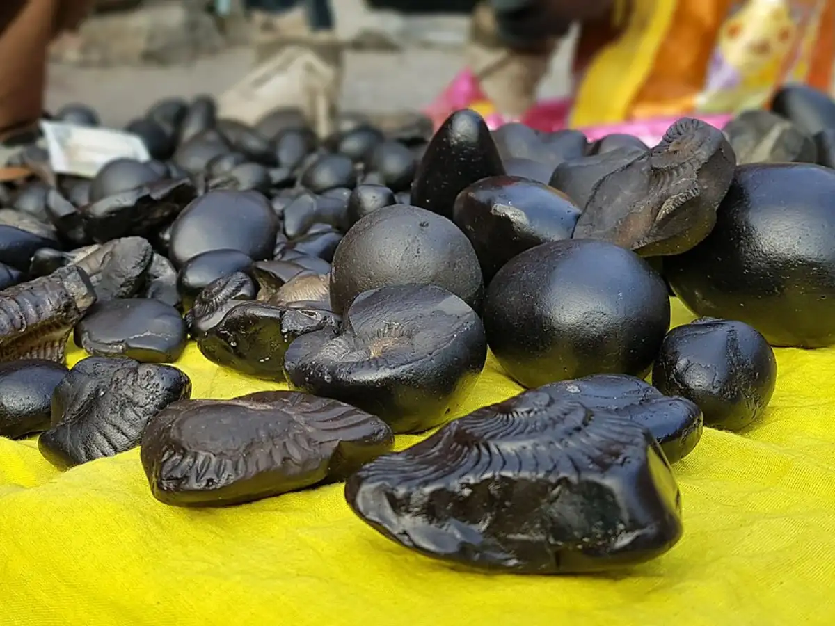 Shaligram Stone Benefits,முன்ஜென்ம பாவங்களை போக்கி, அதிர்ஷ்டம் தரும் ...