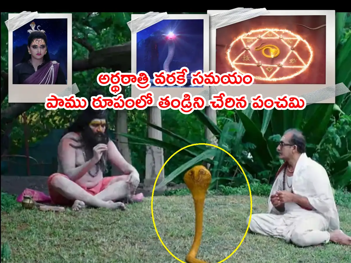 Naga Panchami: పంచమి తిరిగి మనిషిగా మారే ఒకే ఒక్క మార్గం.. నాగేశ్వరికి ...