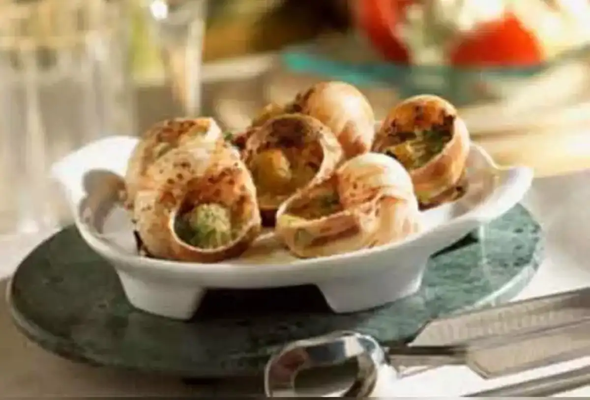 Nathai Kari Nanmaigal,மூல நோய் சரியாக நத்தை கறி சாப்பிடலாமா? சுத்தம் ...