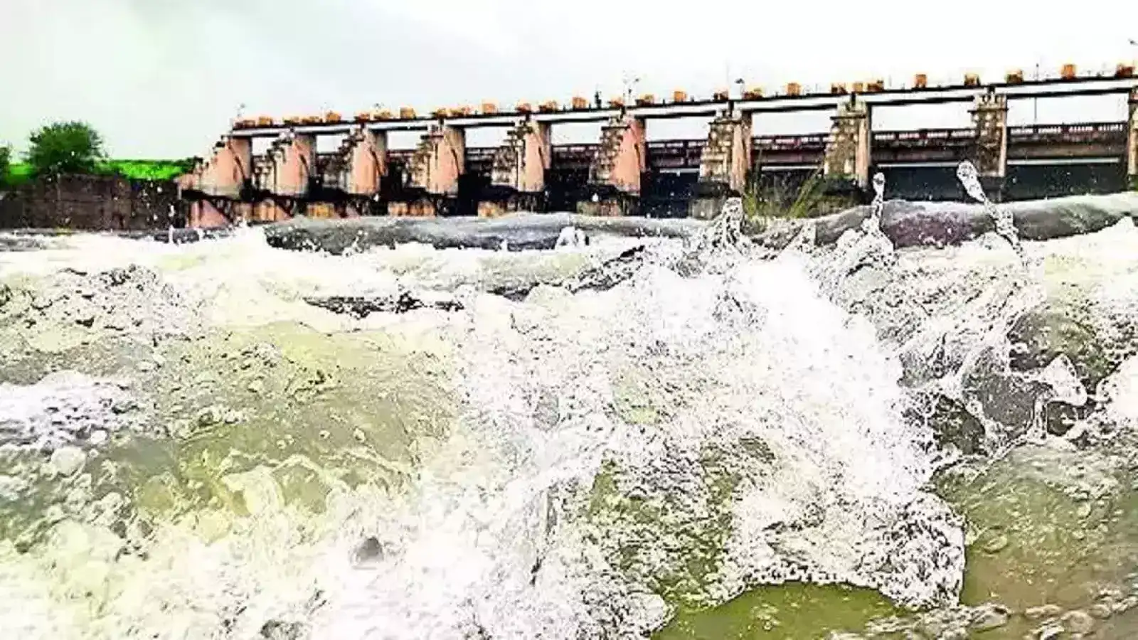 nashik district faces severe water crisis check here dam water level details; धरणे आटली, चिंता ...