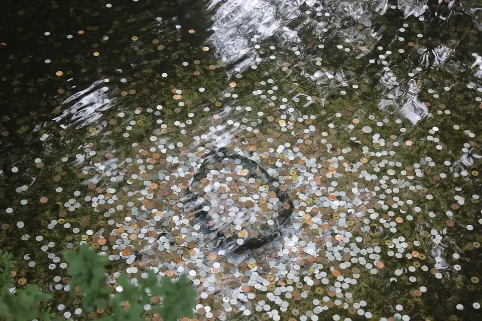 Throwing Coins Into A River,ನೀರಿಗೆ ನಾಣ್ಯವನ್ನು ಯಾಕೆ ಎಸೆಯಲಾಗುತ್ತೆ ಗೊತ್ತಾ ...