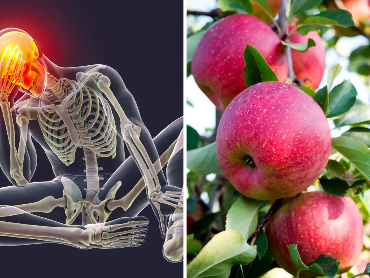 Vitamin P Rich Foods: शरीर के एक-एक अंग को कंकाल बना देगी विटामिन-P की ...