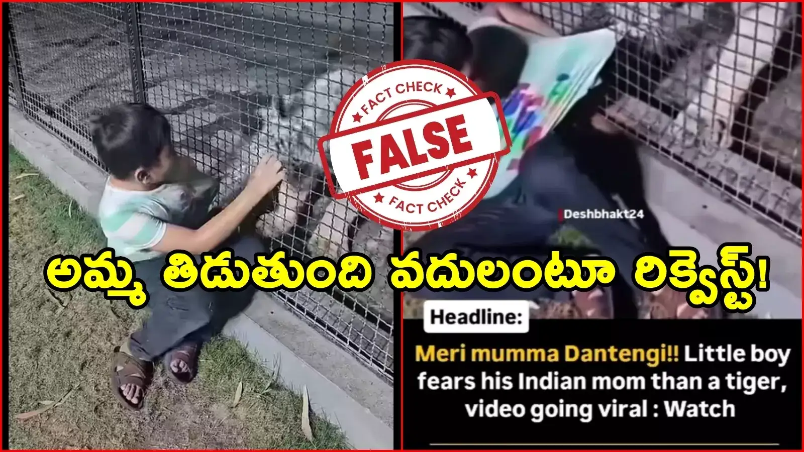 Caged Tiger Grabbing Child Video,పులి టీషర్టు లాగుతోంటే.. మా అమ్మ ...