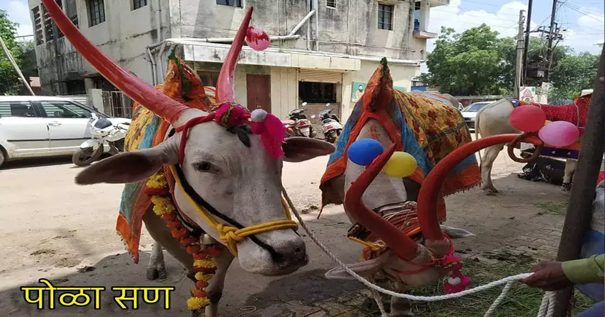 Pithori Amavasya 2023 Shravan Amavasya Upay In Marathi Remedy For Get ...