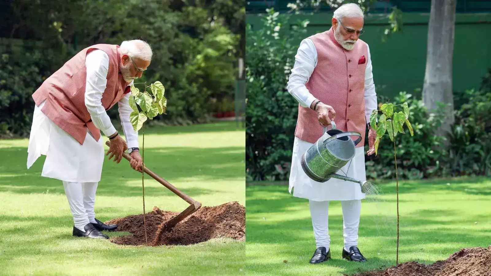 Pm Modi Plants Sindoor Tree,PM Modi: సిందూరం మొక్క నాటిన ప్రధాని మోదీ ...