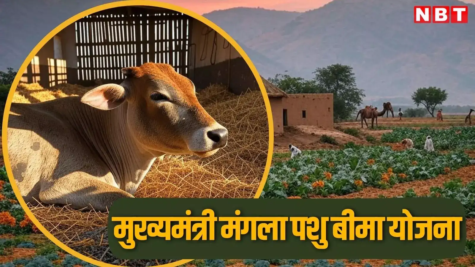 Mangla Pashu Bima Yojna : भजनलाल सरकार कराएगी 21 लाख पशुओं का निःशुल्क ...