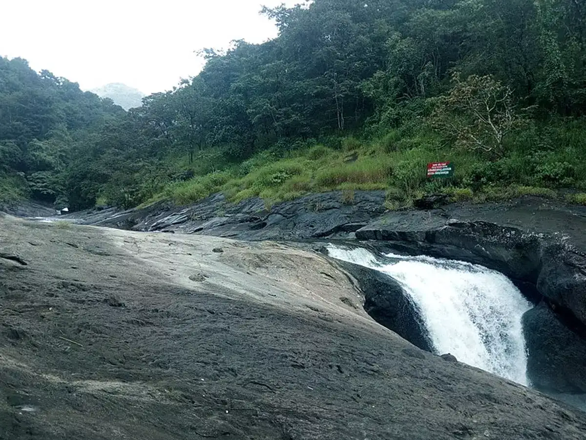 Kakkadampoyil Waterfal Known As Mini Gavi,മലകളും വെള്ളച്ചാട്ടവുമെല്ലാം ...
