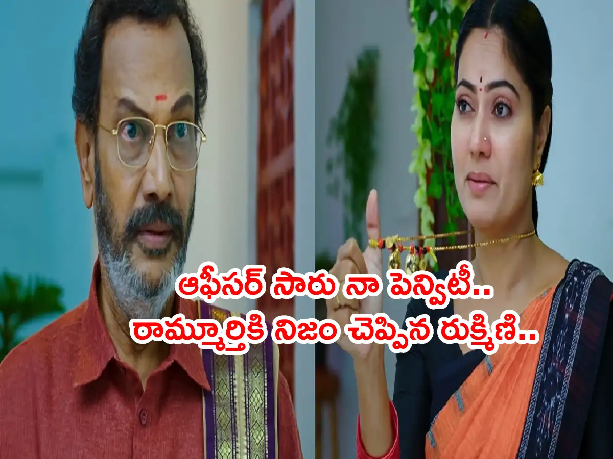 Devatha Serial,Devatha నవంబర్ 7: ‘గాసారే నా పెన్విటీ’ రామ్మూర్తికి నిజం చెప్పిన రాధ.. రుక్మిణీ ...