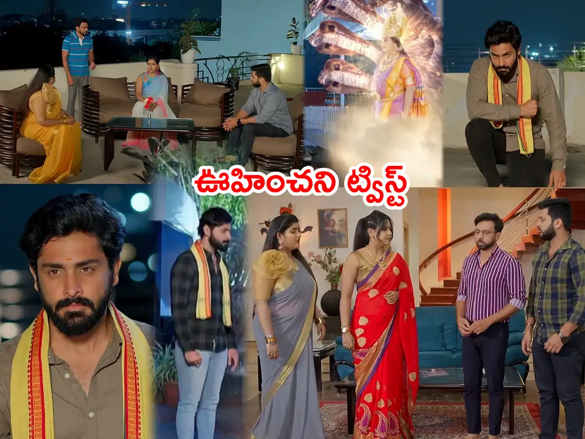 Naga Panchami Serial,Naga Panchami Today: చిత్ర, జ్వాలతో చేతులు కలిపిన ...