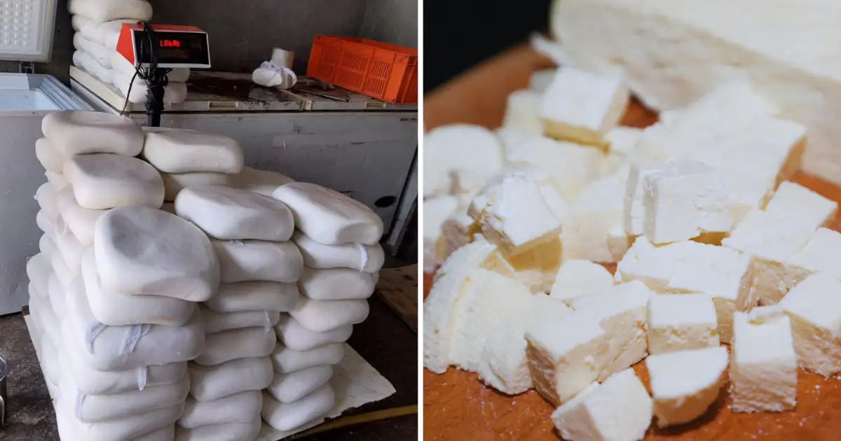 How To Check Purity Of Paneer,FSSAI ने बताया नकली पनीर की जांच का आसान ...