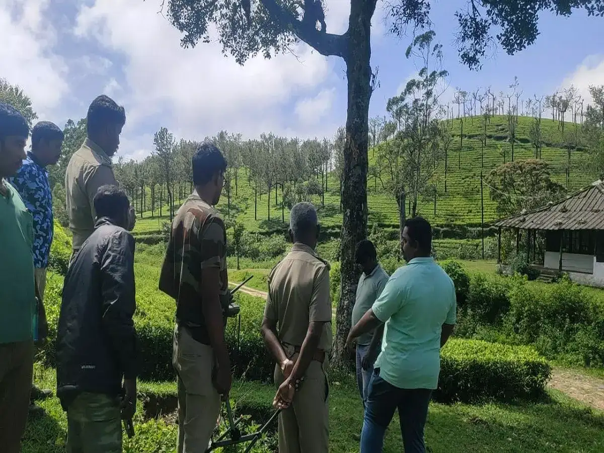 arikomban elephant which entered the mancholai has returned to upper ...