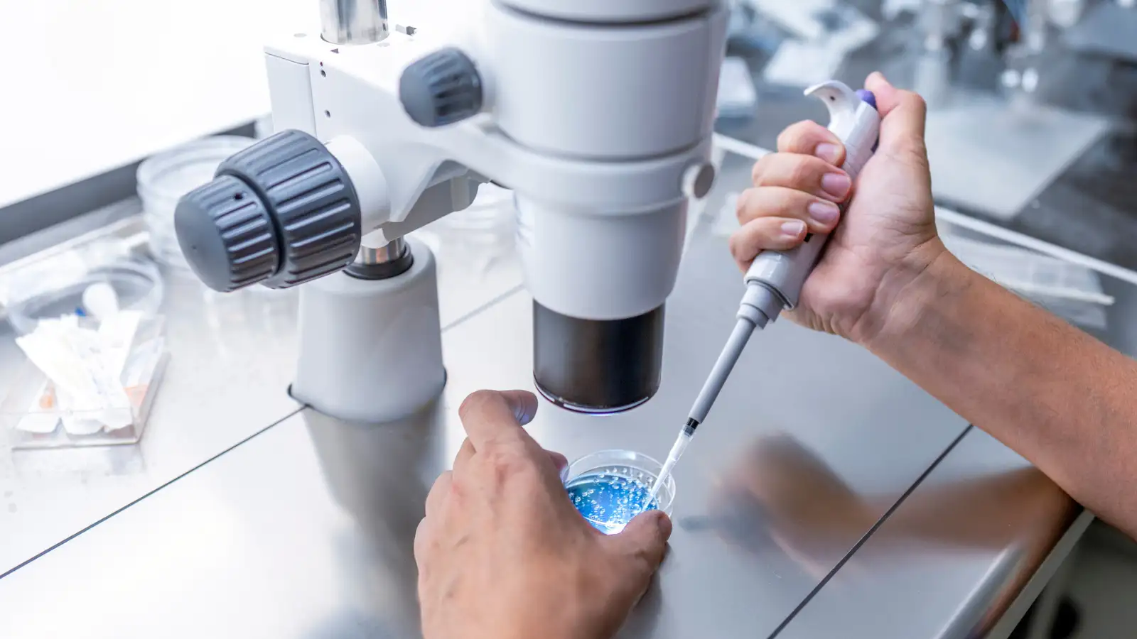 frozen embryo transfer steps, how fet helps conception, understanding ...