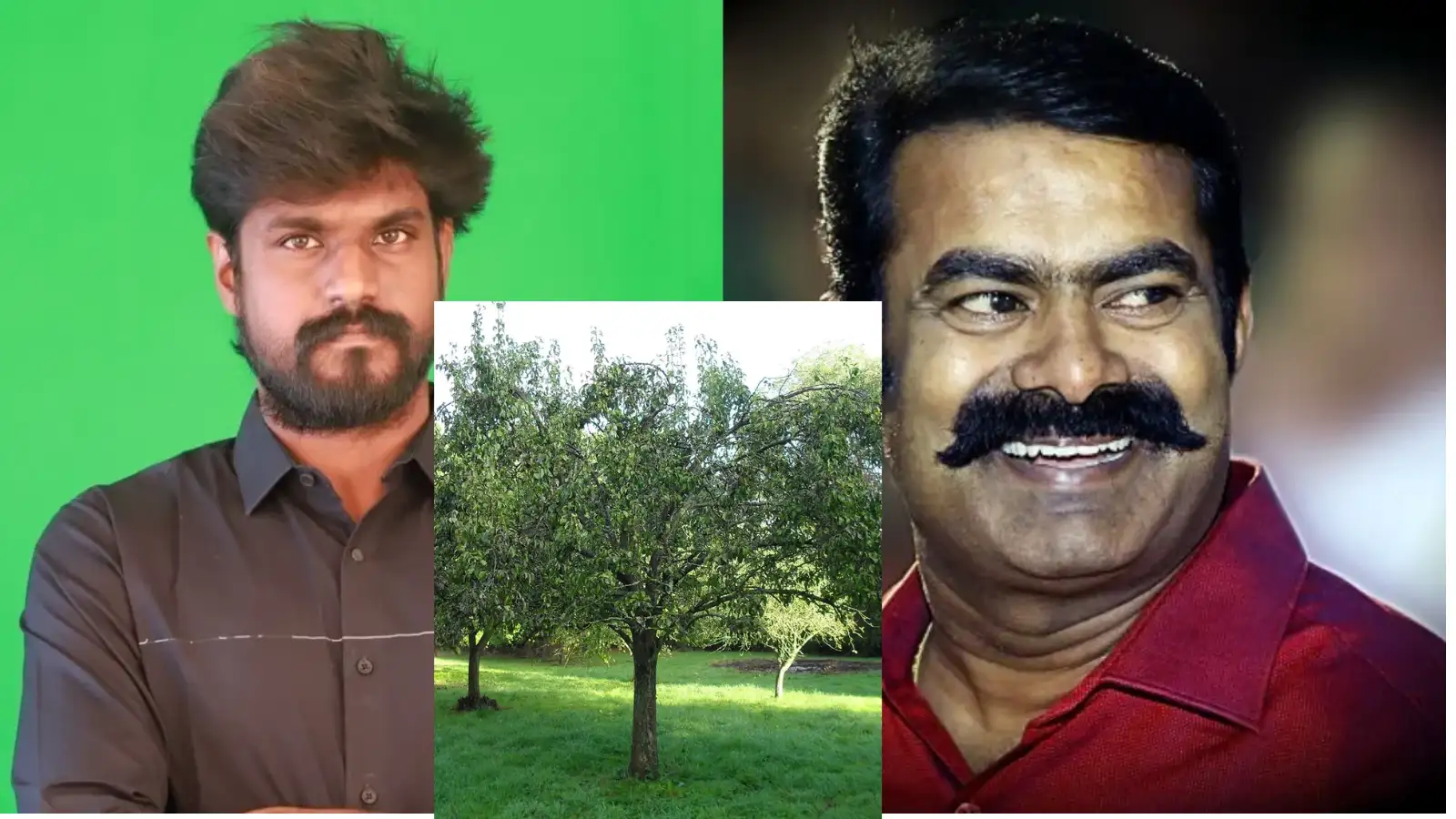 ஆடு, மாடுகளை தொடர்ந்து மரங்களுக்கான மாநாடு- சீமான் நடத்தப்போவது ஏன் ...