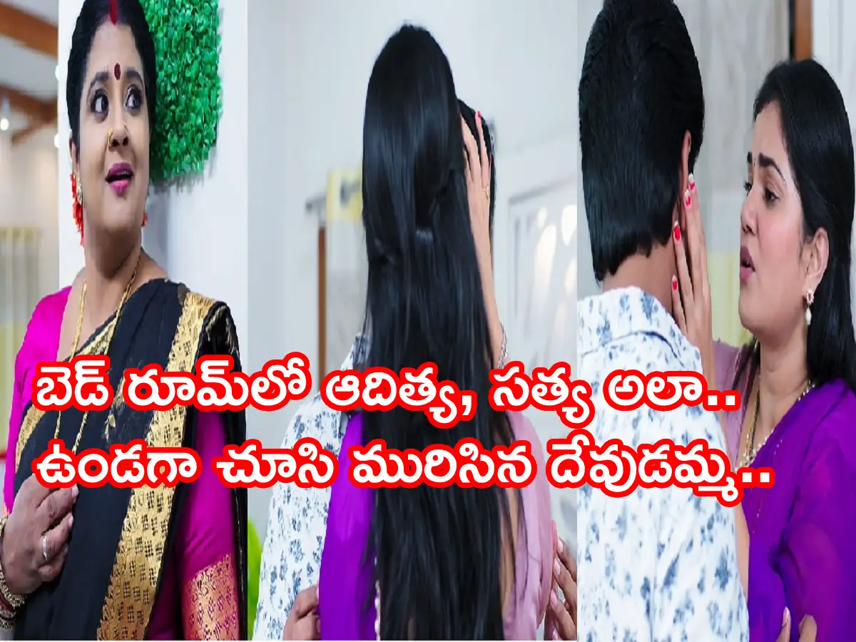 Devatha Serial,Devatha అక్టోబర్ 29 ఎపిసోడ్: దేవుడమ్మ సంబరం.. సత్య, ఆదిత్య అలా కలవడం చూసి ...