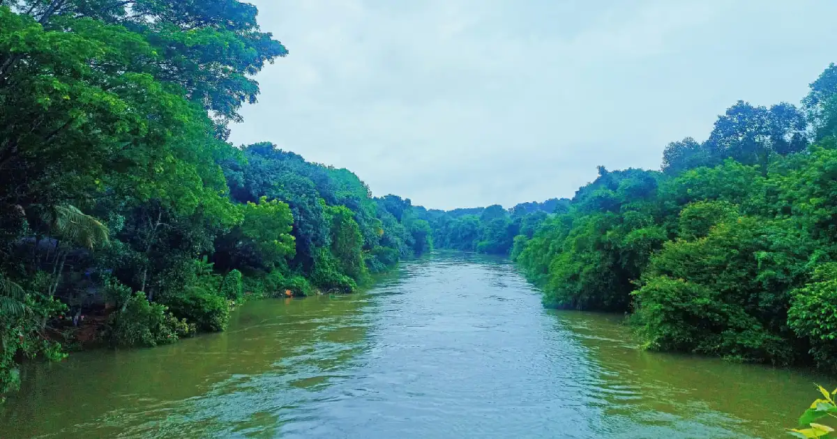 Water Level Danger Manimala And Achankovil River,സൂക്ഷിക്കണം, ജലനിരപ്പ് അപകടകരമായ നിലയി ...