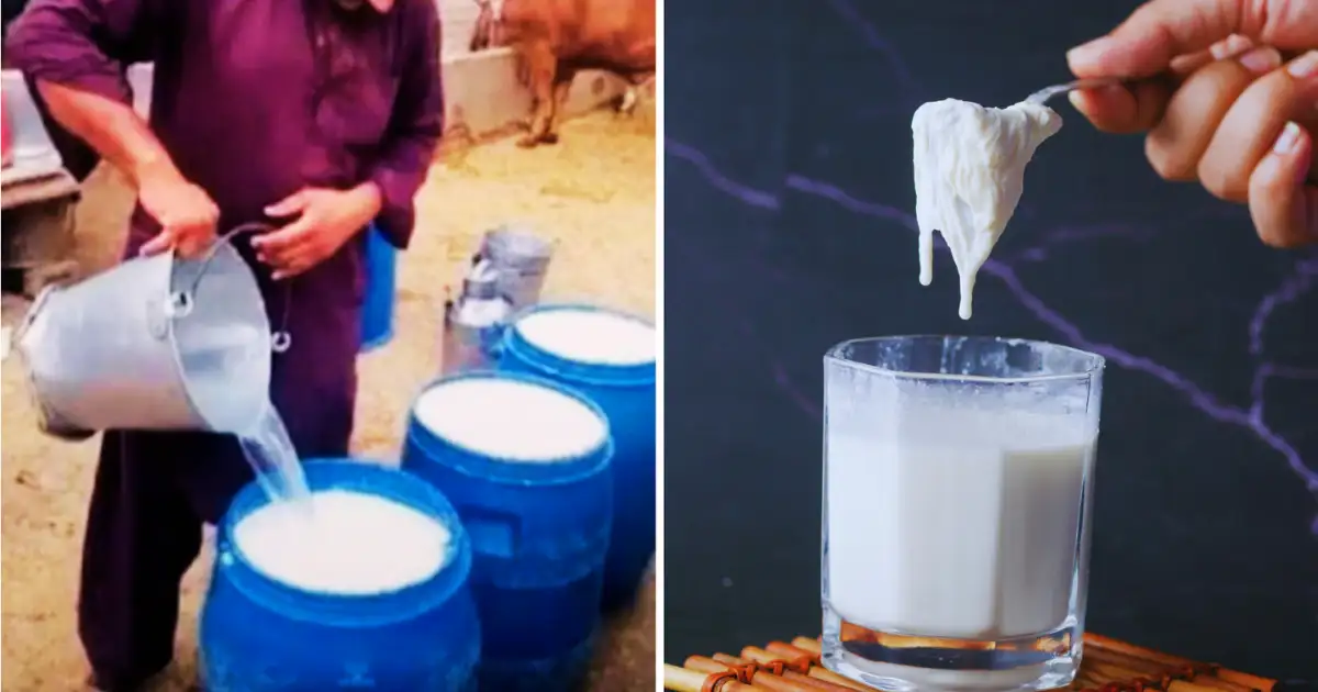 How To Check Purity Of Milk At Home,FSSAI ने बताया दूध में पानी की ...