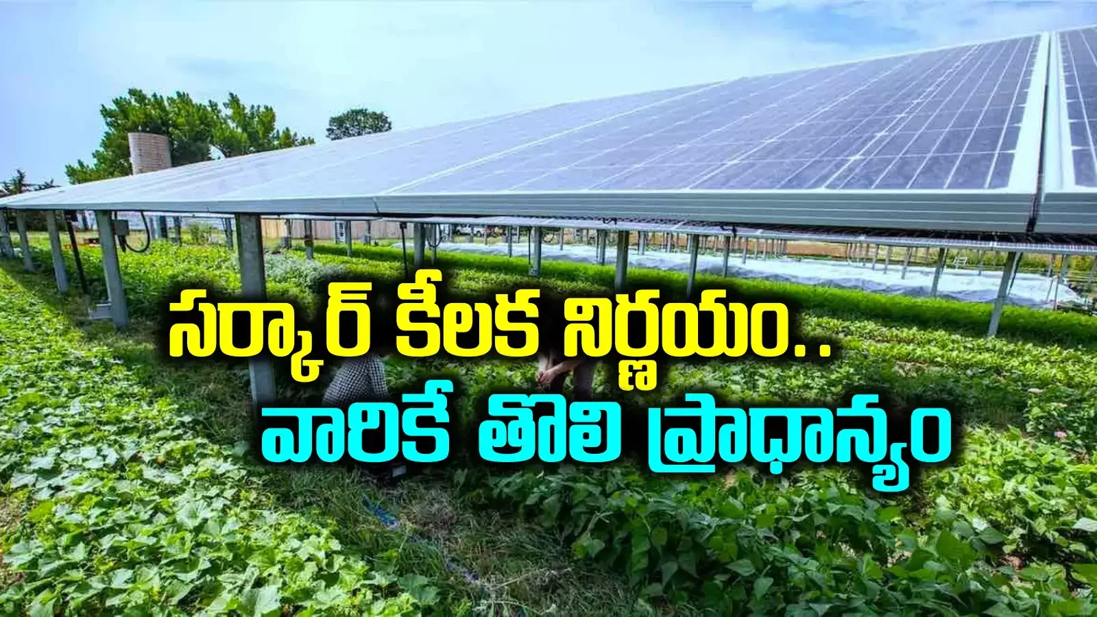 Solar Power Plants In Agricultural Lands,PM Kusum Yojana: పొలాల్లో సౌర ...