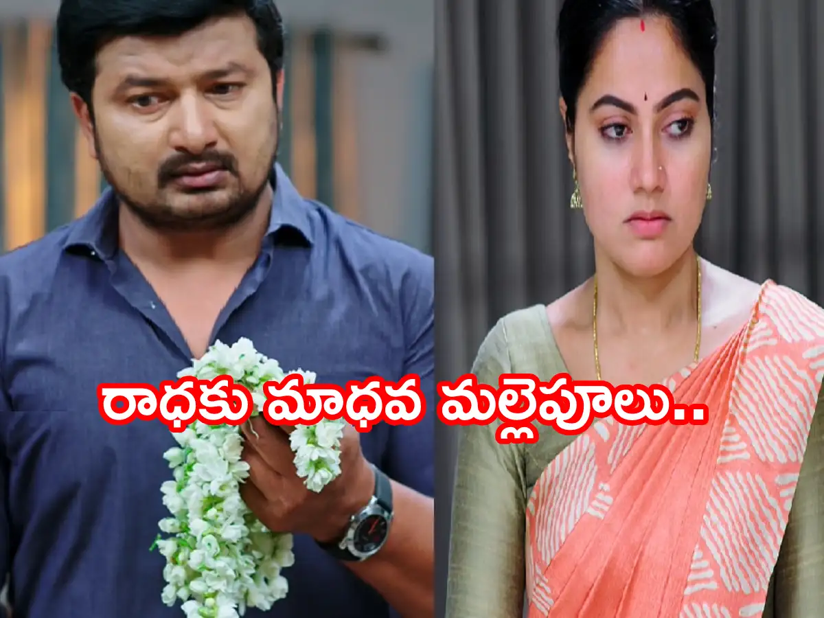 Devatha Serial,Devatha మే 2 ఎపిసోడ్: పట్టరాని ఆనందంలో మాధవ.. రాధ మనసు తెలుసుకుని సంబరం ...