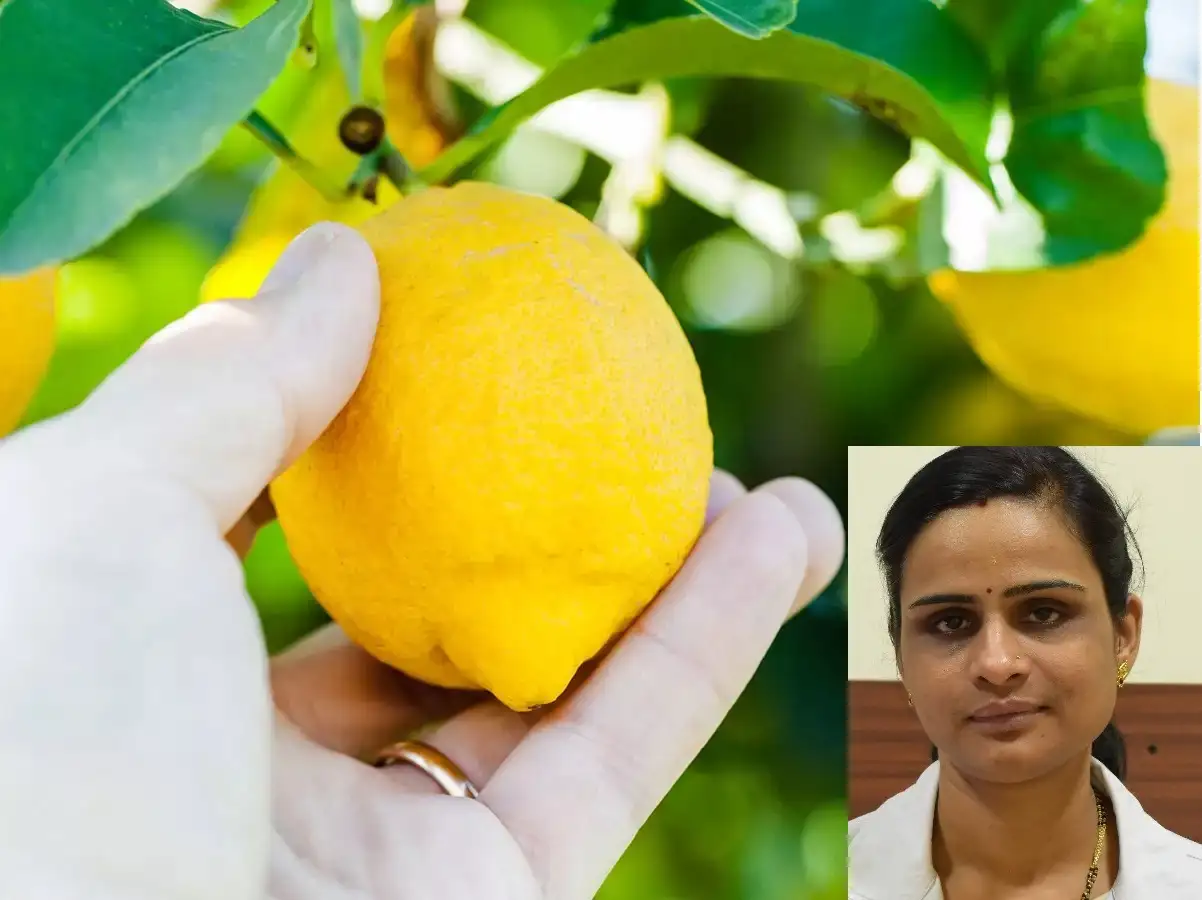 Lemon Health Benefits And Uses In Tamil,ஆயுர்வேதத்தில் எலுமிச்சை ...