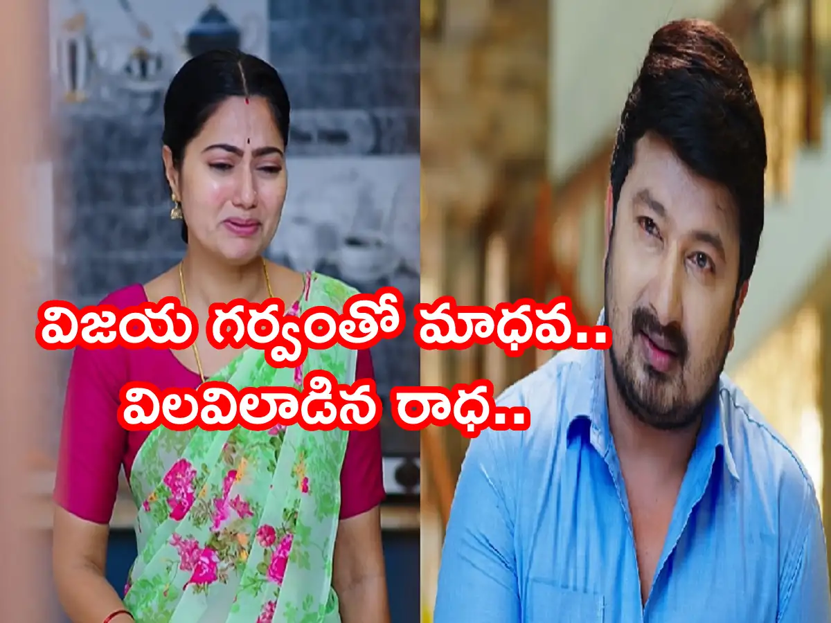 Devatha Serial,Devatha ఫిబ్రవరి 24 ఎపిసోడ్: మాధవ విజయం, అల్లాడిన రాధ.. కథలో బాషాకి టైమొచ్చింది ...