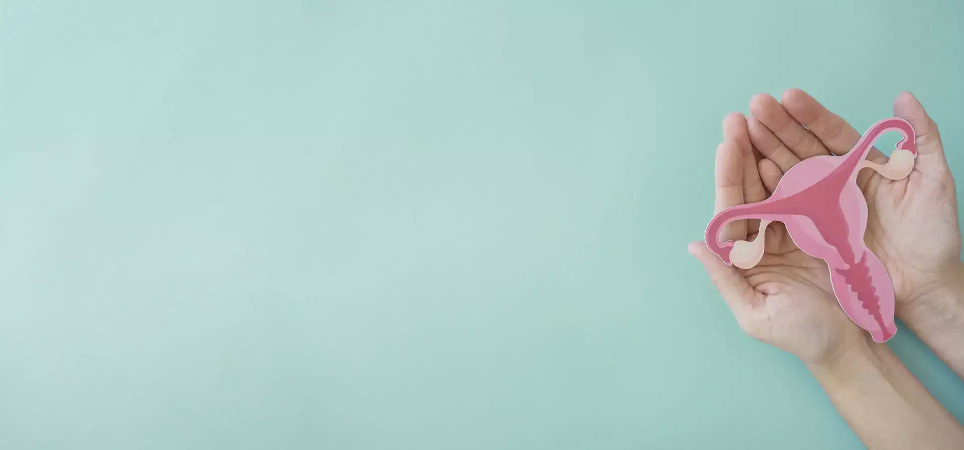 The Role of the Uterine Microbiome in Conception and Fertility