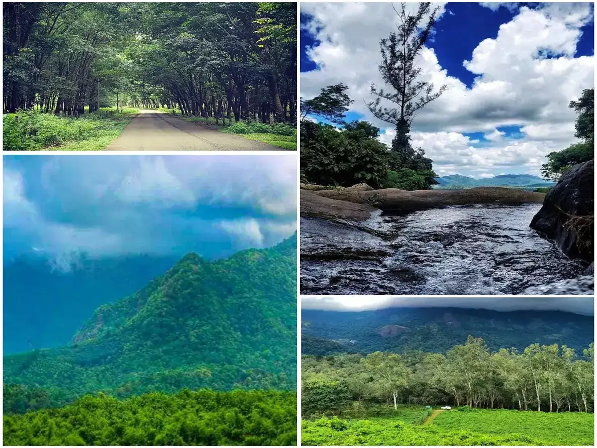 kanyakumari Keeriparai Reserve Forest is hidden tourist destination in ...