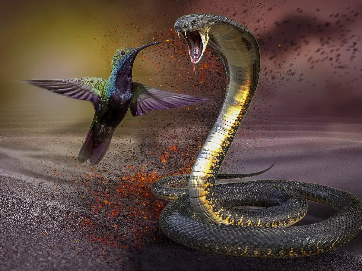 Anant Kaal Sarp Dosh, Is Remedy And Effects - ಅನಂತ ಕಾಳ ಸರ್ಪ ದೋಷ ಎಂದರೇನು ...