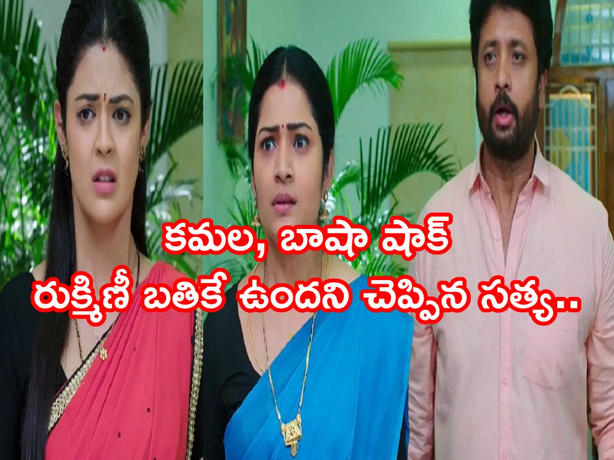 Devatha Serial,Devatha జూన్ 16: నోరు విప్పిన సత్య.. ‘రుక్మిణీ అక్క బతికే ఉంది’ నివ్వెరపోయిన కమల ...