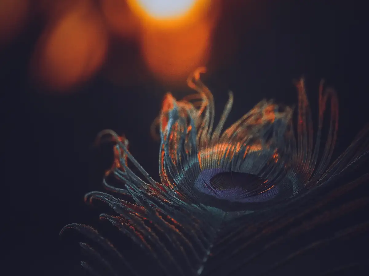 Shri Krishna Janmashtami,वसुदेवसुतं देवं कंसचाणूरमर्दनम् ...