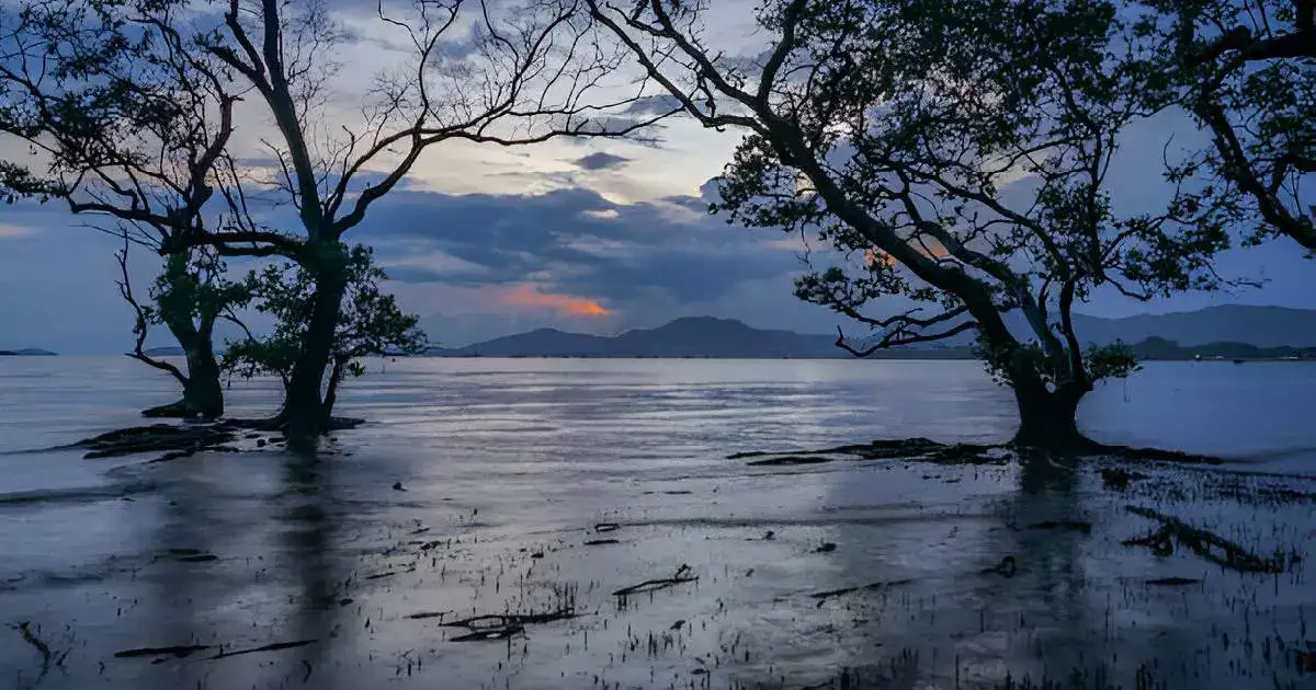 Manglachu Tal Mysterious Lake,सीटी बजाओ या ताली बजाओ! मंगलाछु ताल से ...