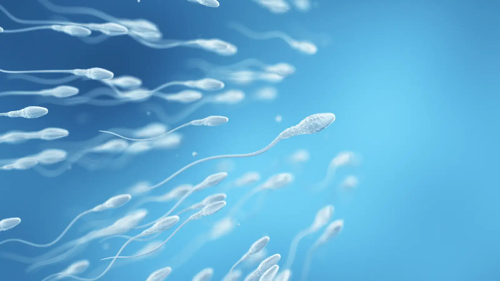 How Often Should Men Ejaculate to Maximise Sperm Health & Fertility