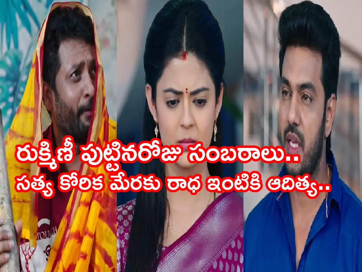Devatha Serial,Devatha డిసెంబర్ 7 ఎపిసోడ్: రాధలో మొదలైన భయం.. వెనక్కి తగ్గిన మాధవ.. బాషా కామెడీ ...
