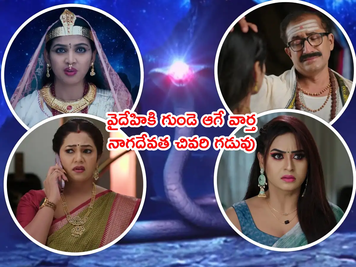 Naga Panchami : గుండె పగిలేలా ఏడ్చిన సాంబయ్య.. పంచమి కోసం వైదేహి ...