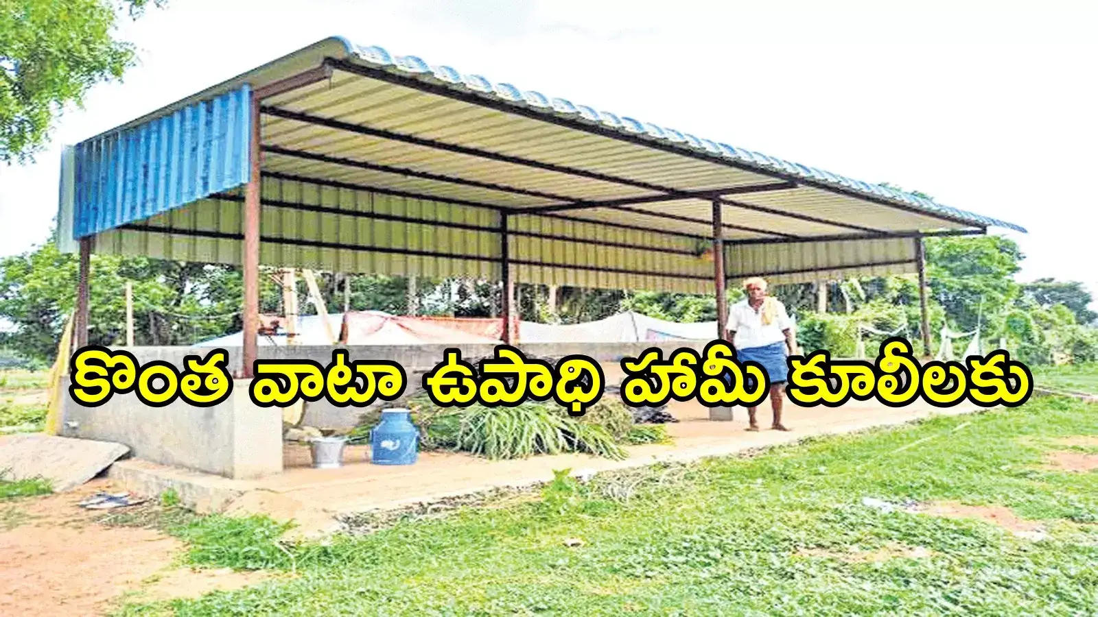 AP Government On MGNREGA Wages Hikes for Gokulam Shed Workers: ఏపీలో ...
