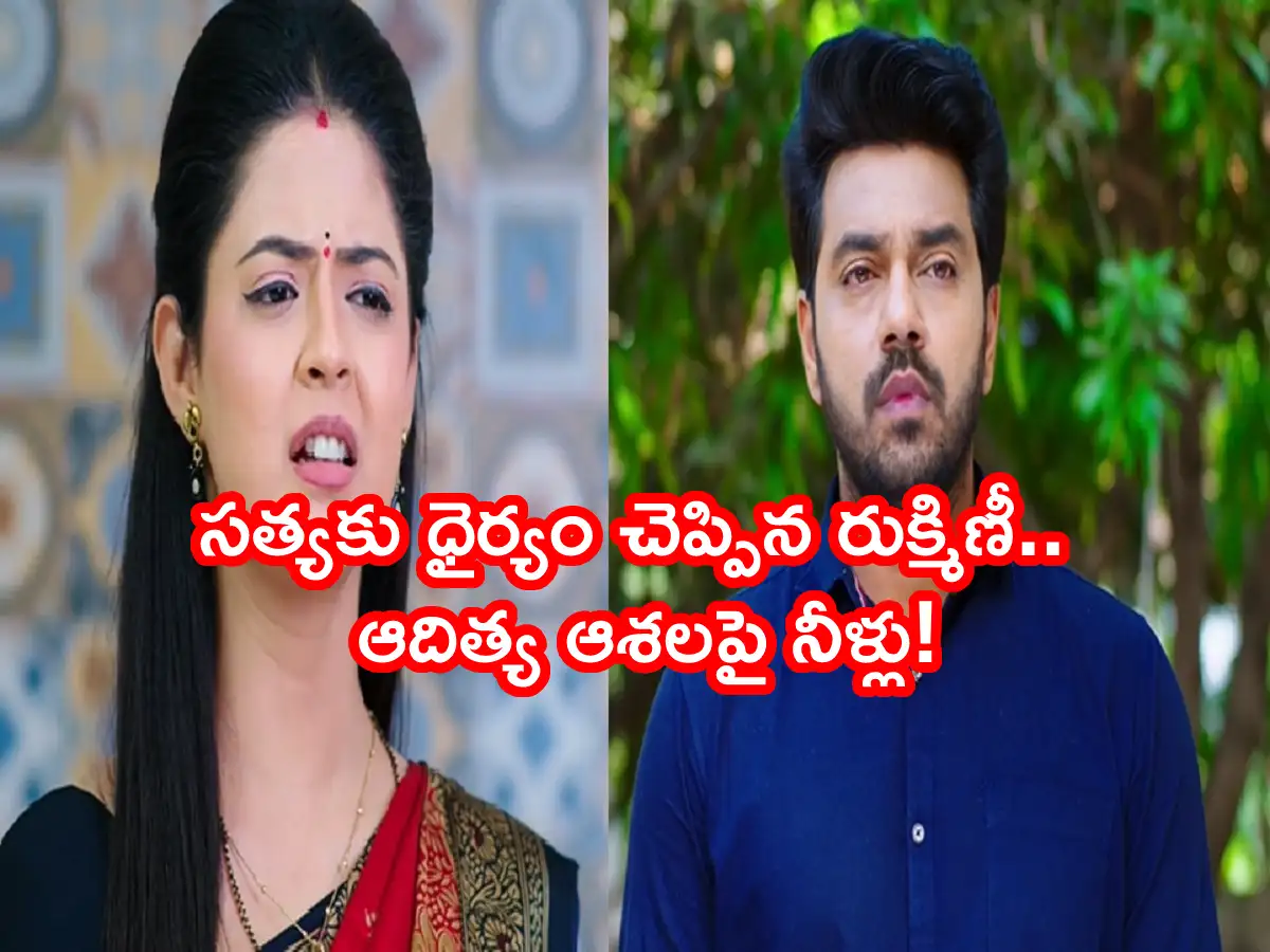 Devatha Serial,Devatha మార్చి 23 ఎపిసోడ్: రుక్మిణీ సంజాయిషీ! సత్య ఆందోళన.. దేవికి నిజం ...