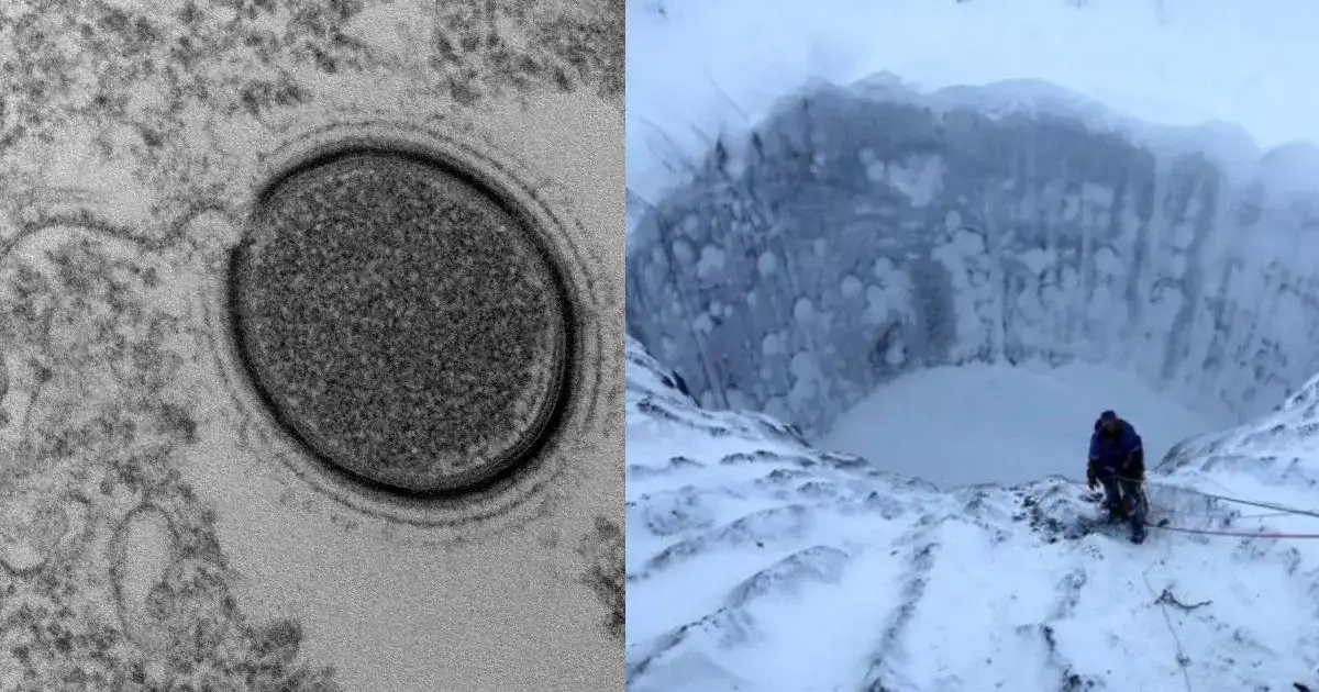 Siberia Permafrost Virus: Scientists Revived Ancient Zombie Viruses ...
