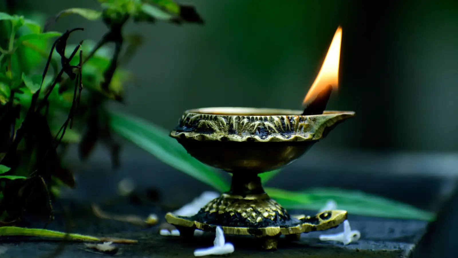 How To Light Kubera Deepa,ಮನೆಯಲ್ಲಿ ಕುಬೇರ ದೀಪವನ್ನು ಹಚ್ಚಿಡುವುದು ಹೀಗೆ ನೋಡಿ ...