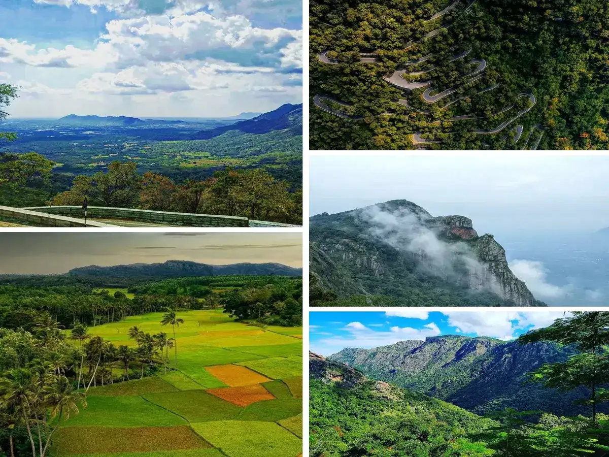 valvil ori festival at Namakkal kolli hills : வருது வல்வில் ஓரி விழா ...