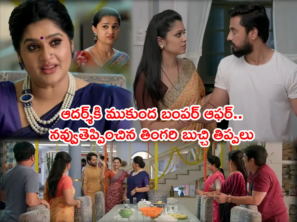 Krishna Mukunda Murari Serial,Krishna Mukunda Murari Today: భవానీ చెవిన.. ముకుంద గురించి మరో ...