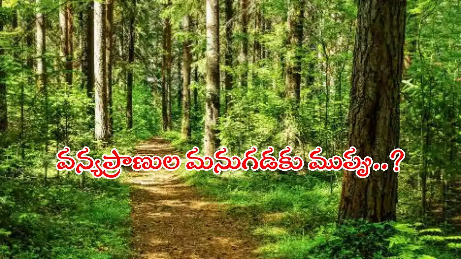 Telangana PCCF Dobriyal Denies Tree Removal Rumors for Naval Radar in ...