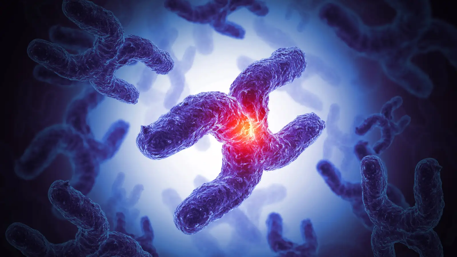 Chromosomal Translocations & Fertility: Causes, Diagnosis & Options