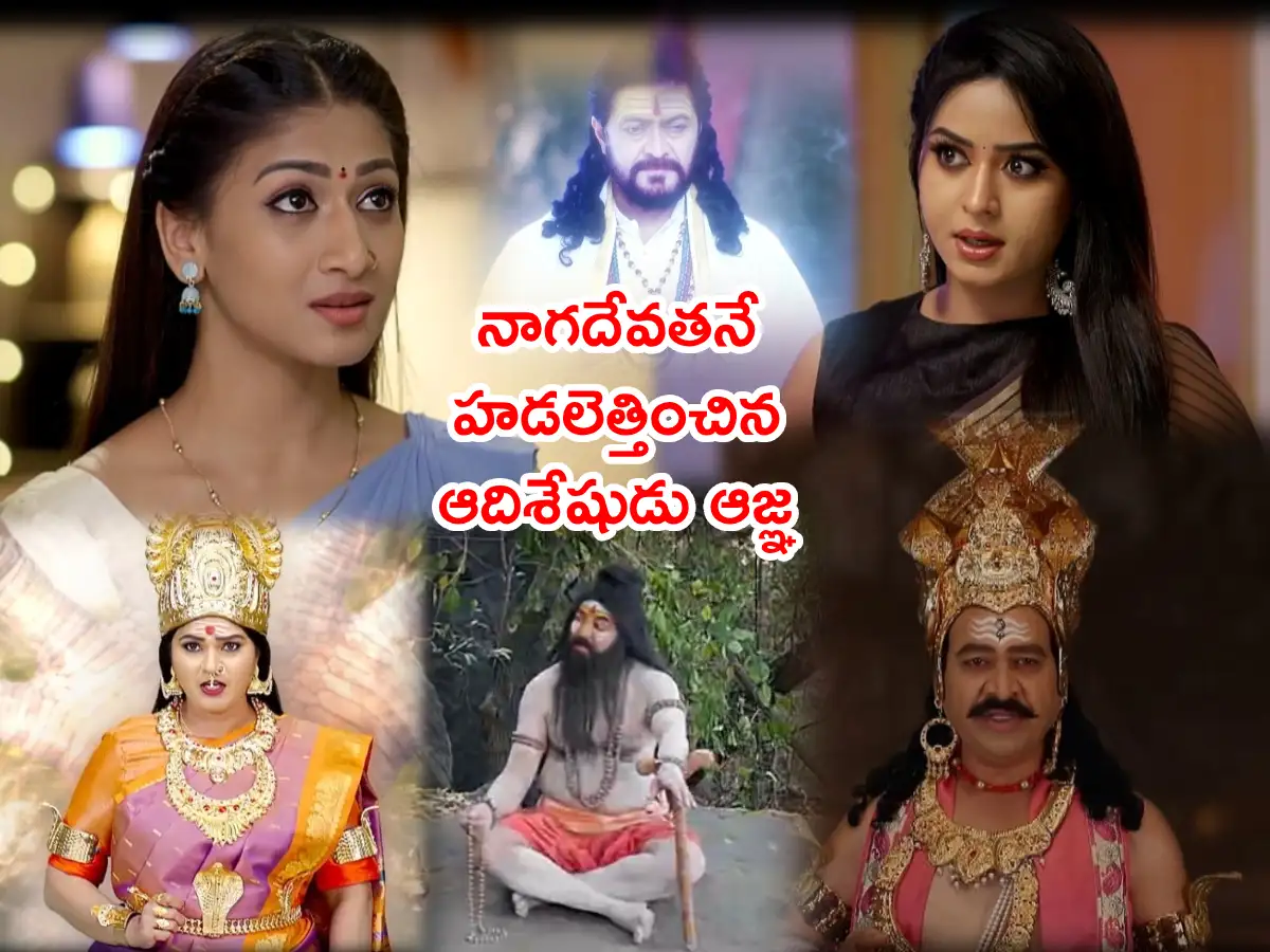 Naga Panchami Serial,Naga Panchami Today: ఇక నుంచి జ్వాల శరీరంలో ...