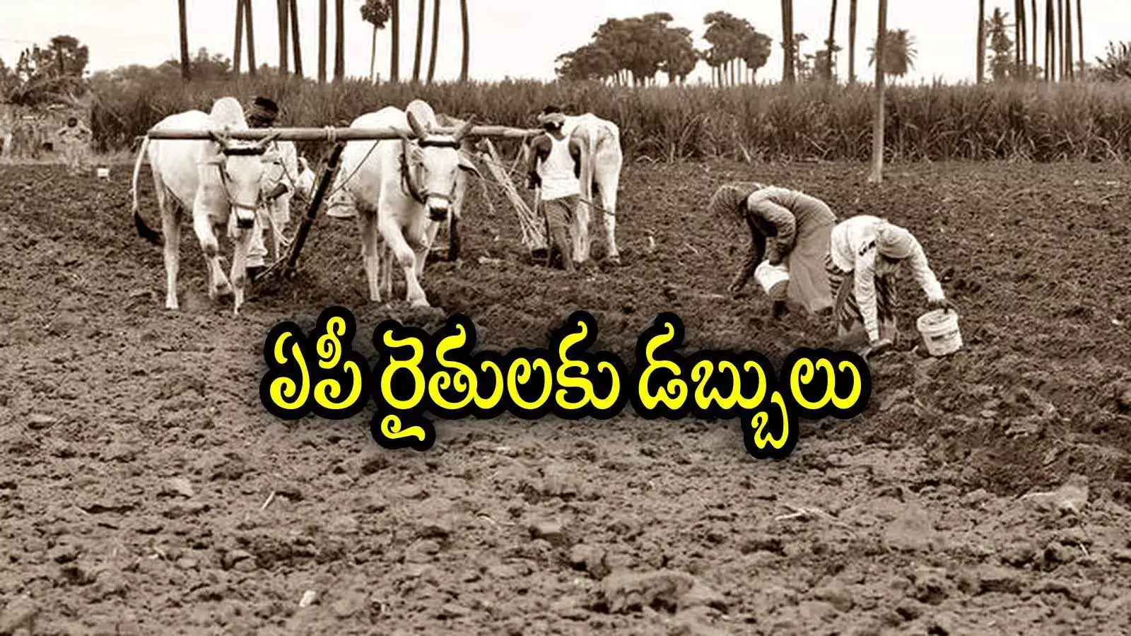 Ap Farmers Paddy Procurement Pending Money,ఏపీలో రైతులకు ప్రభుత్వం గుడ్ ...