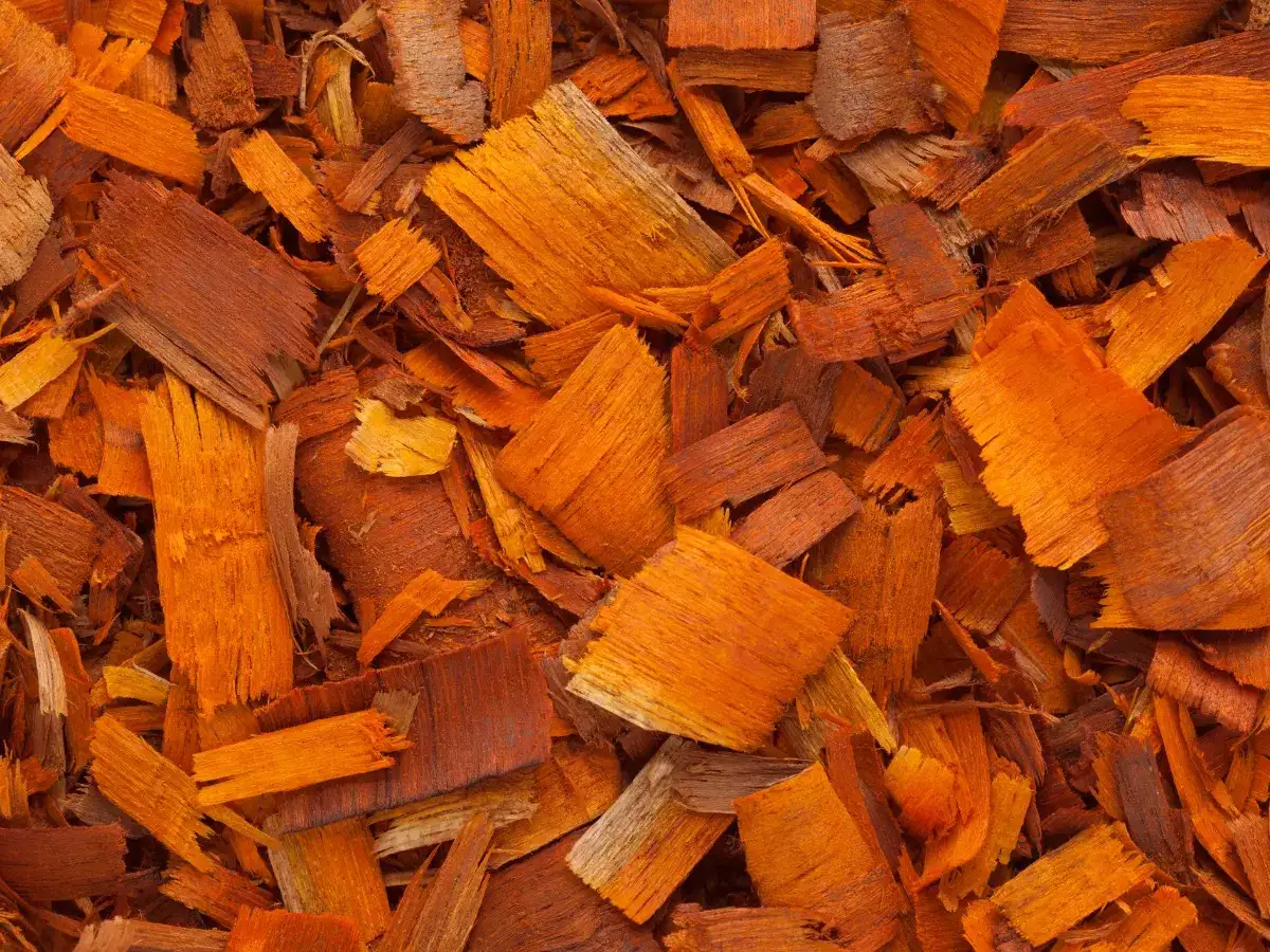 Pathimukham Water,നല്ല ആരോഗ്യത്തിന് പതിമുഖം ചേർത്ത വെള്ളം കുടിക്കുന്നത് ...