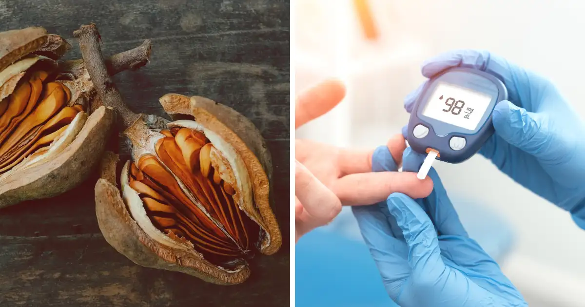 How To Eat Sugar Badam For Diabetes,डायबिटीज में फायदेमंद हो सकता है ...