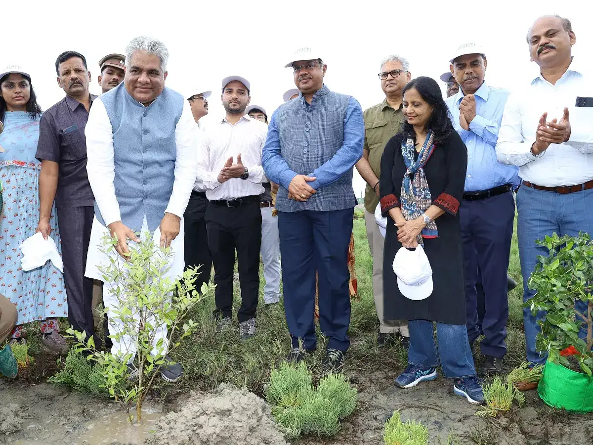 Supriya Sahu IAS about Mangrove forest tree saplings: சுப்ரியா சாகு ...