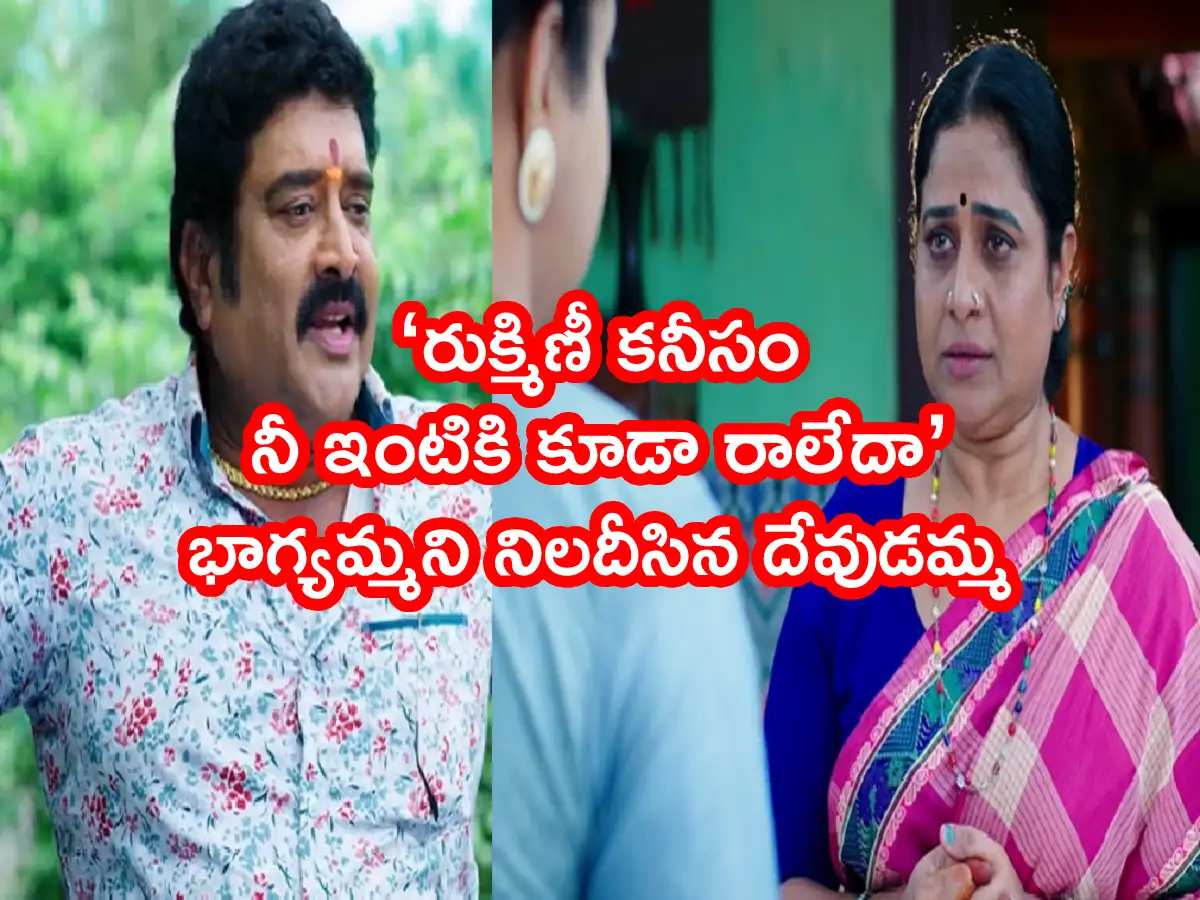 Devatha Serial,Devatha జూలై 30 ఎపిసోడ్: రుక్మిణీ ఫొటో పట్టుకుని ఊరంతా గాలిస్తున్న సూరి.. సత్యకు ...