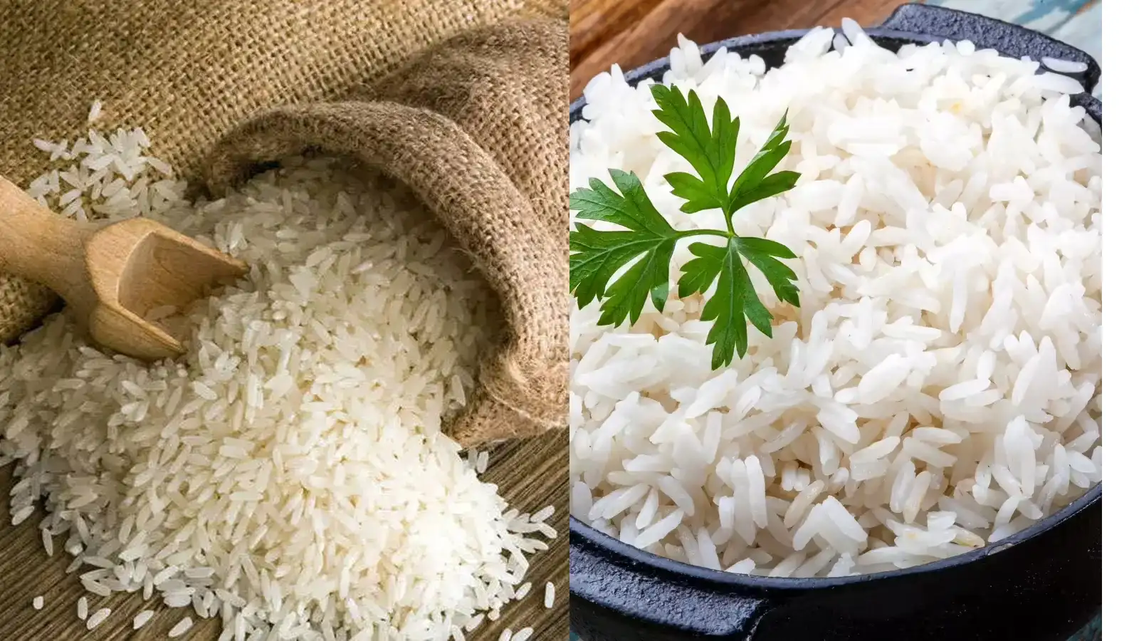 Myths And Facts Of Rice And How To Incorporate With Proteins On Your ...